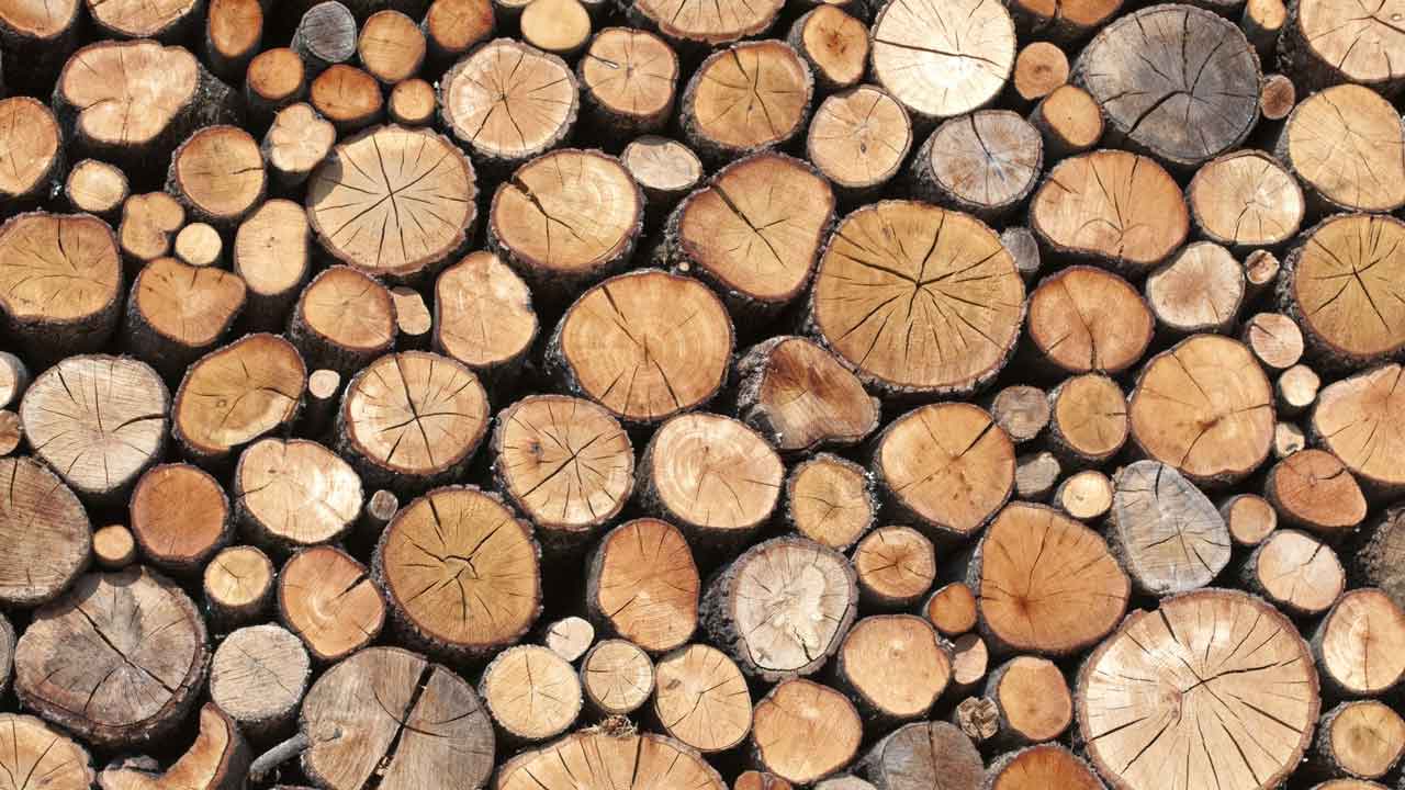 Wood and materials: design and construction considerations - WOOD DESIGNER